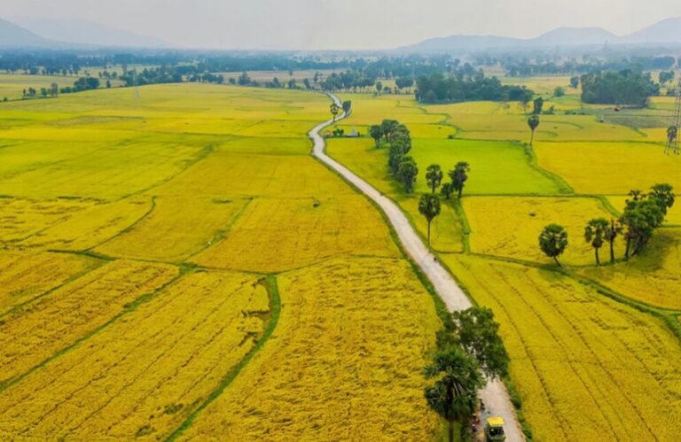 1 ha bằng bao nhiêu m2? Bảng quy đổi Hecta sang các đơn vị đo lường